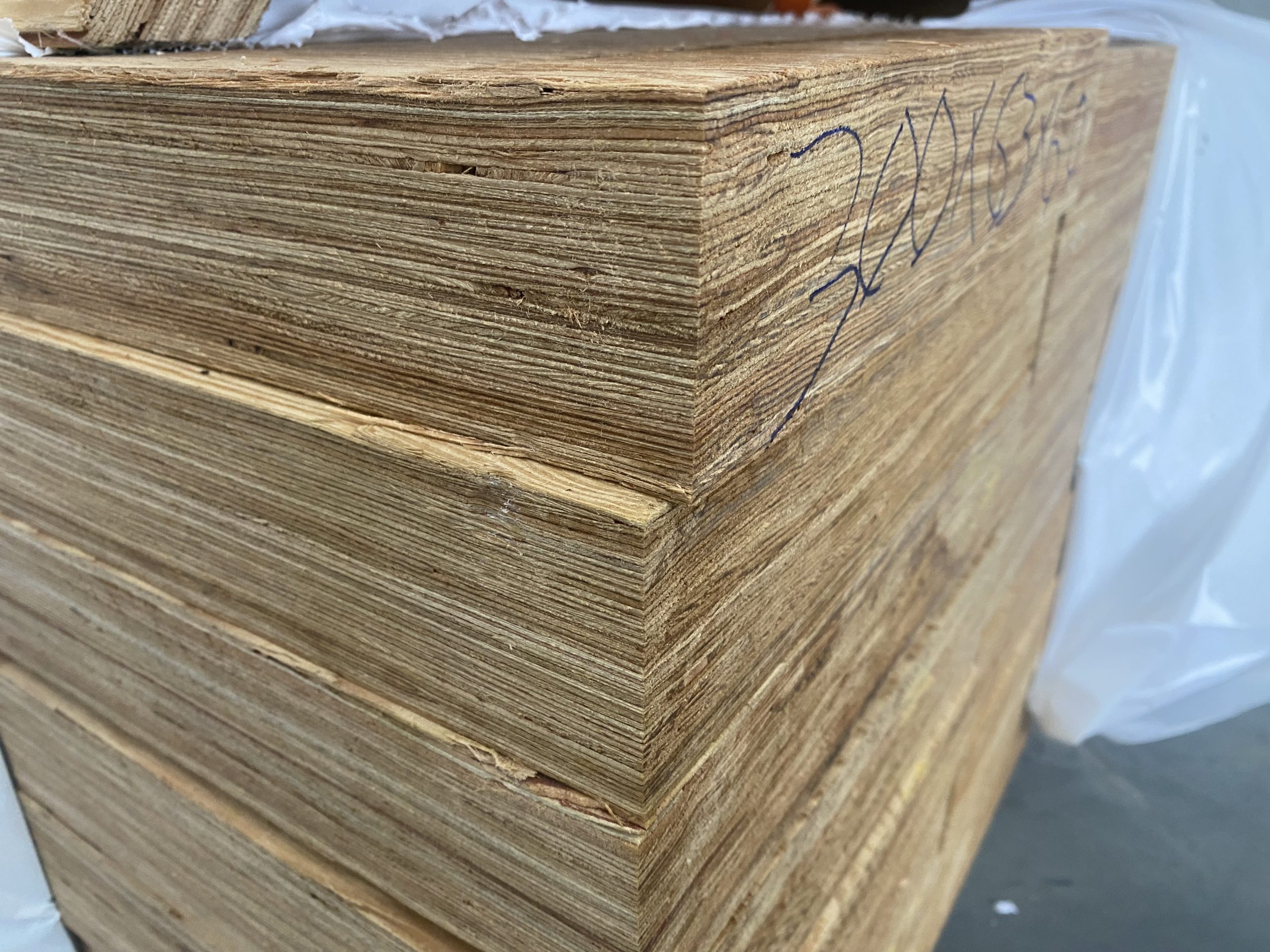 LVL F17/E14 H2S 300x63 - Timber Central